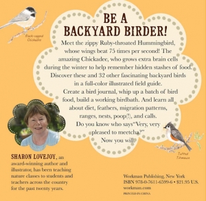 Beautiful Back Cover Designs