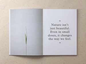 Pull Quote - What Is It & How You Can Make Use of Them