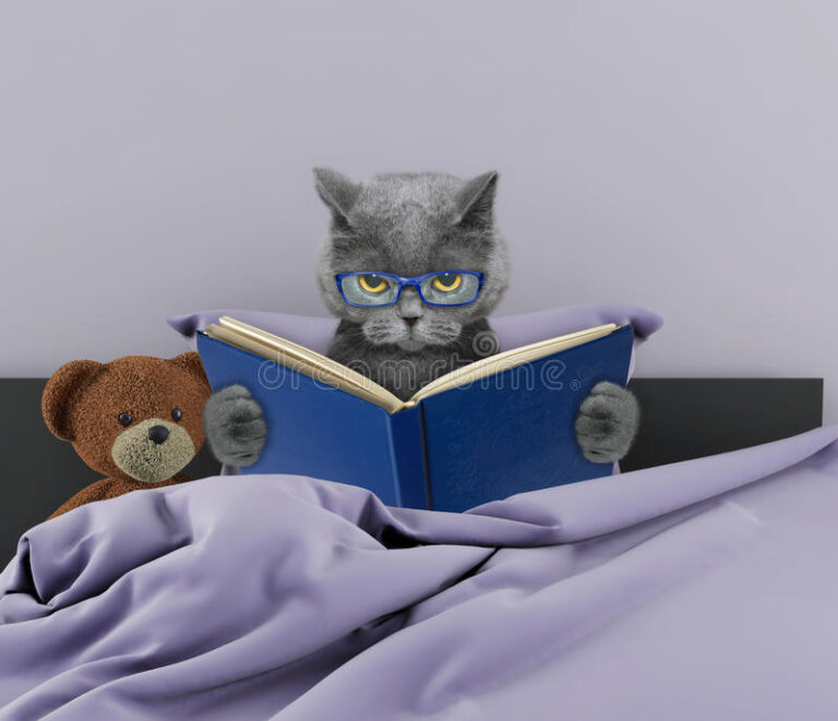 Cat Reading a Book – The Complete Collection - Adazing