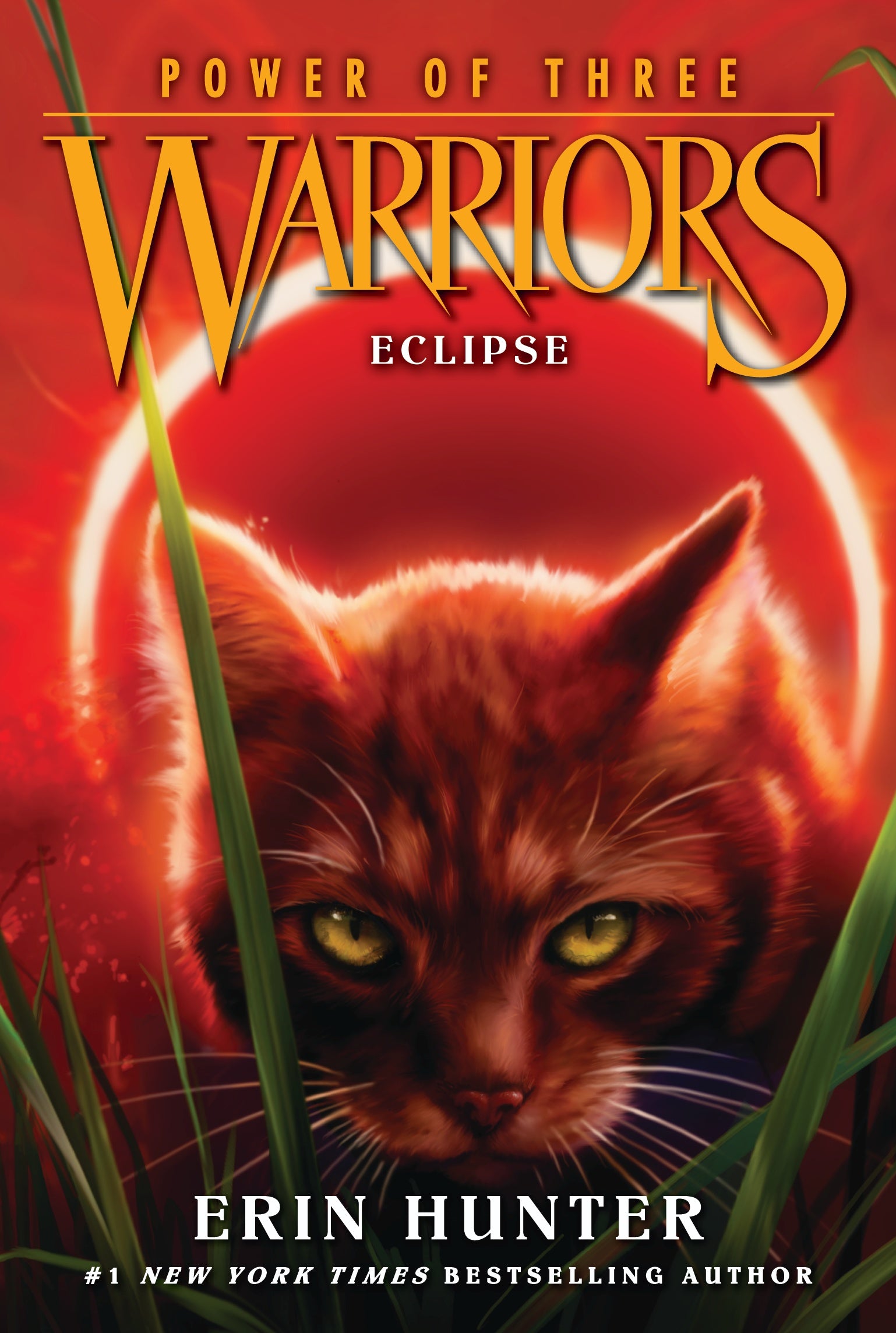 Warrior Cats Book Covers - Adazing