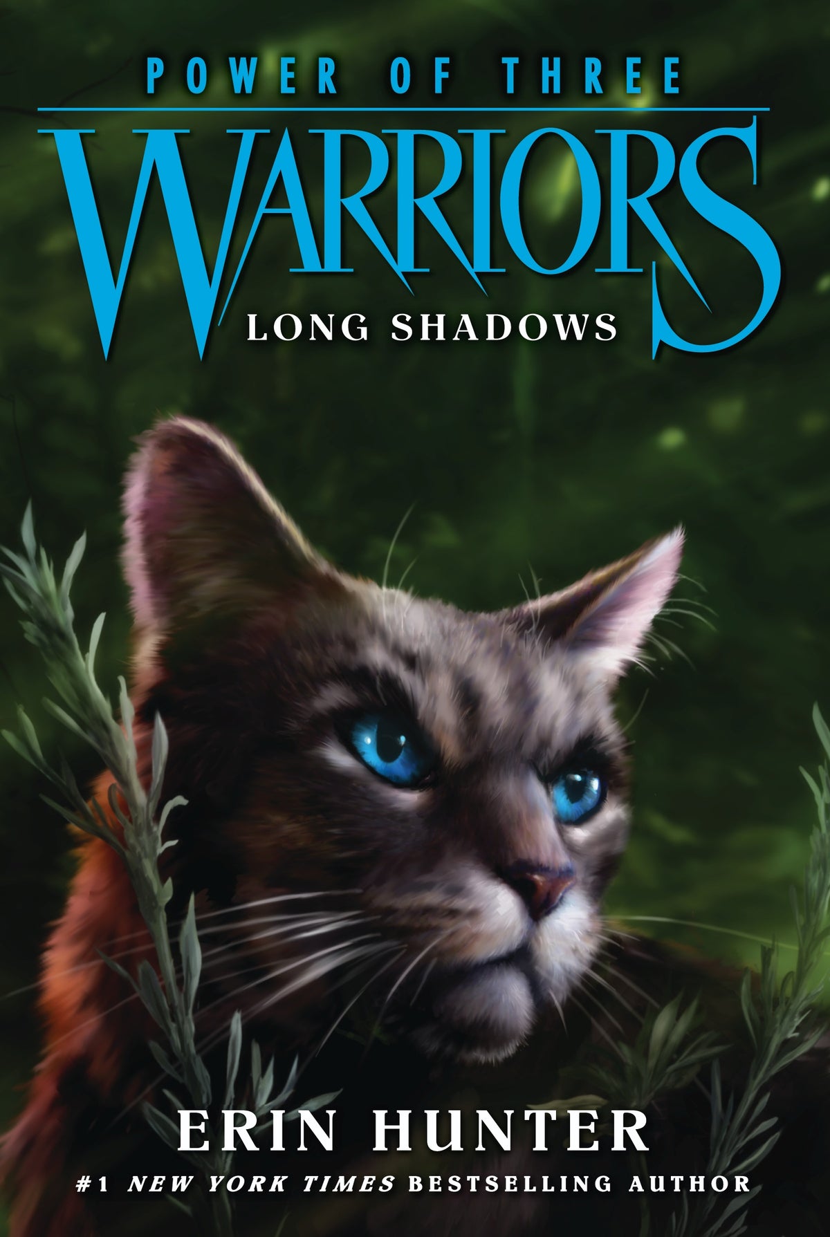 Warrior Cats Book Covers - Adazing