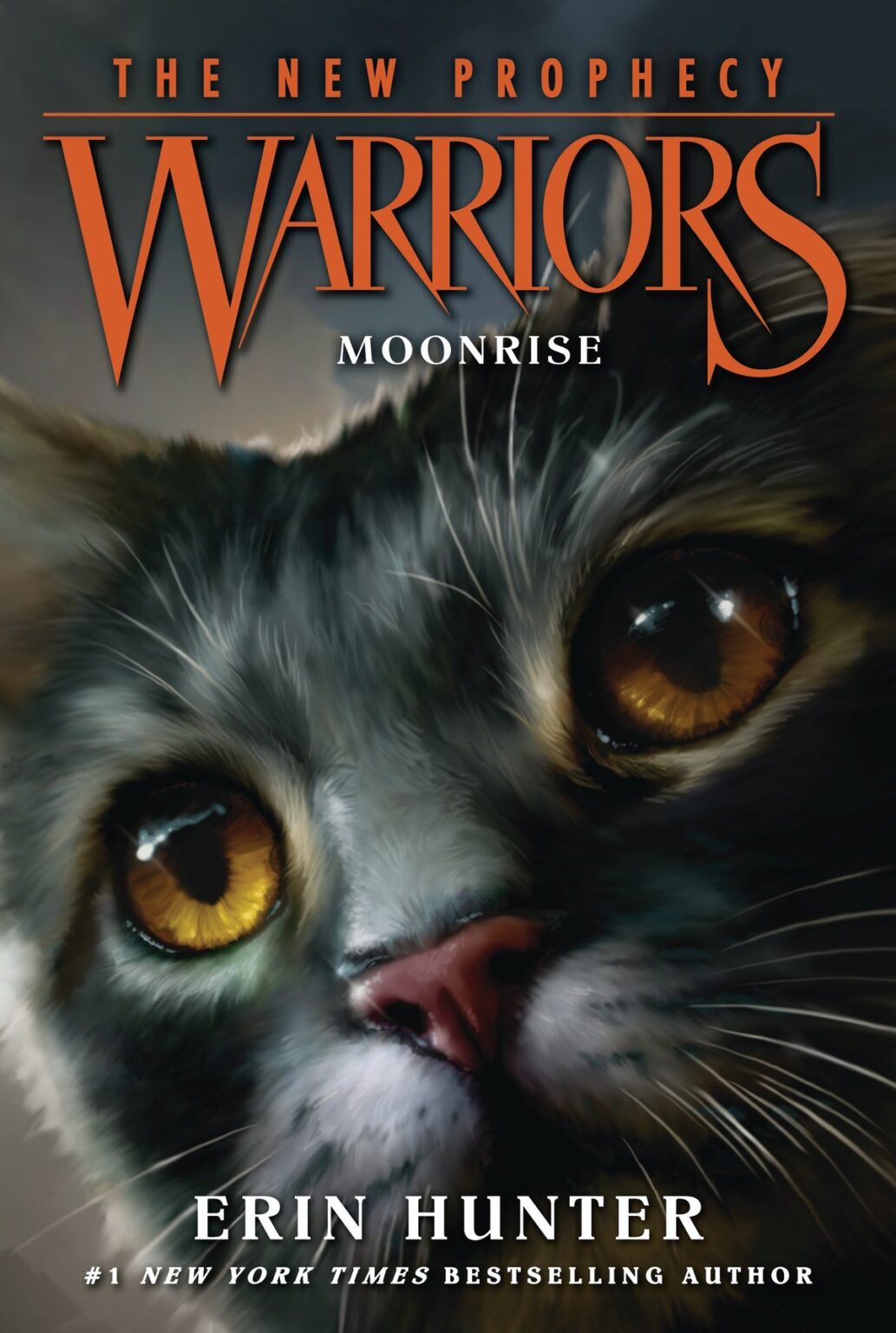 Warrior Cats Book Covers - Adazing