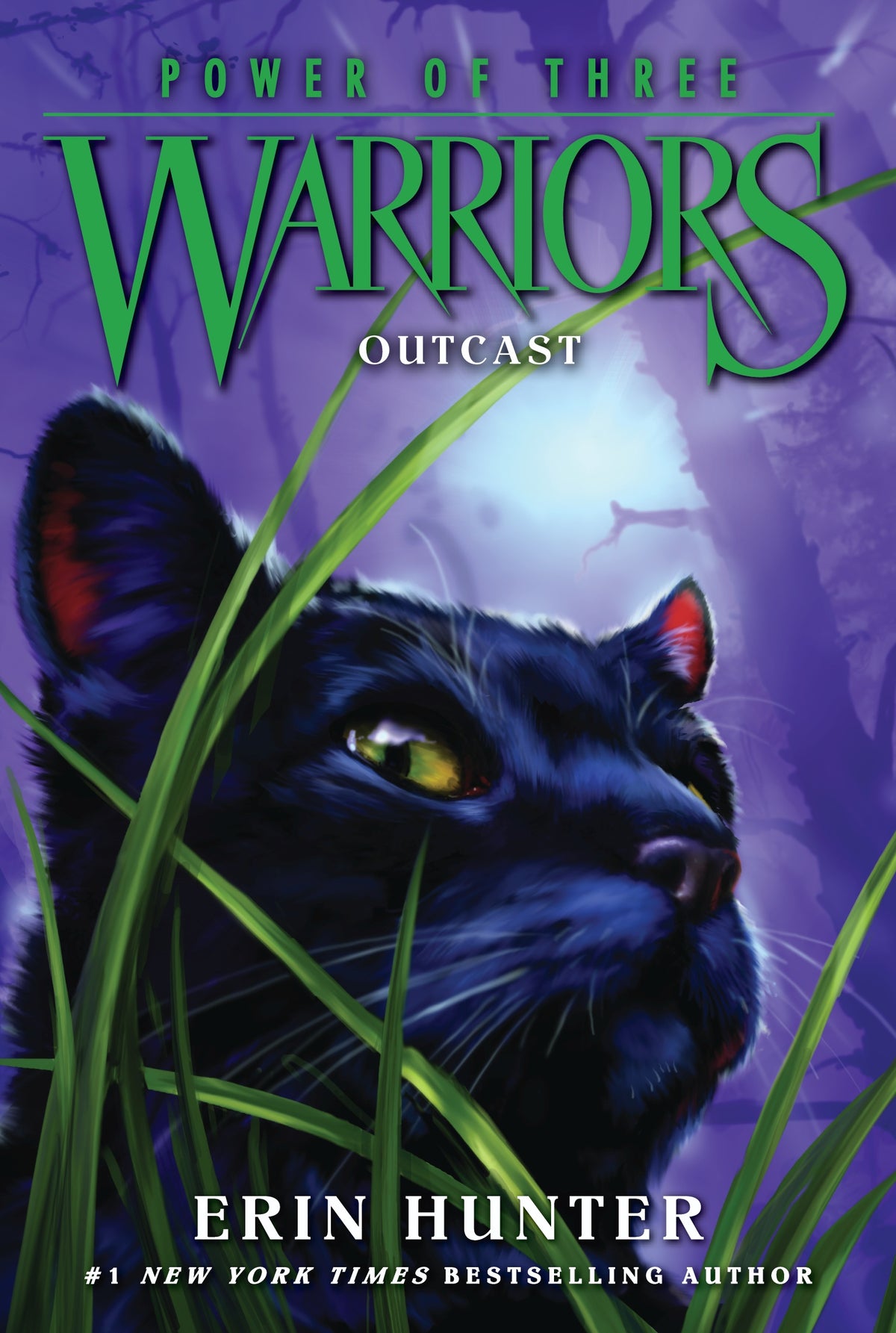 Warrior Cats Book Covers - Adazing