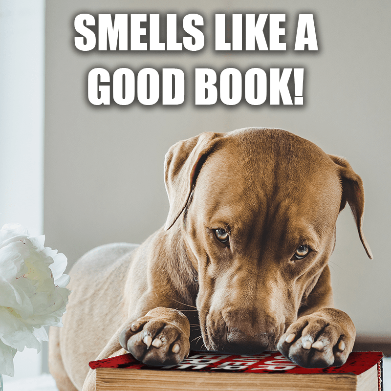 BookGraphix - BookGraphix.com