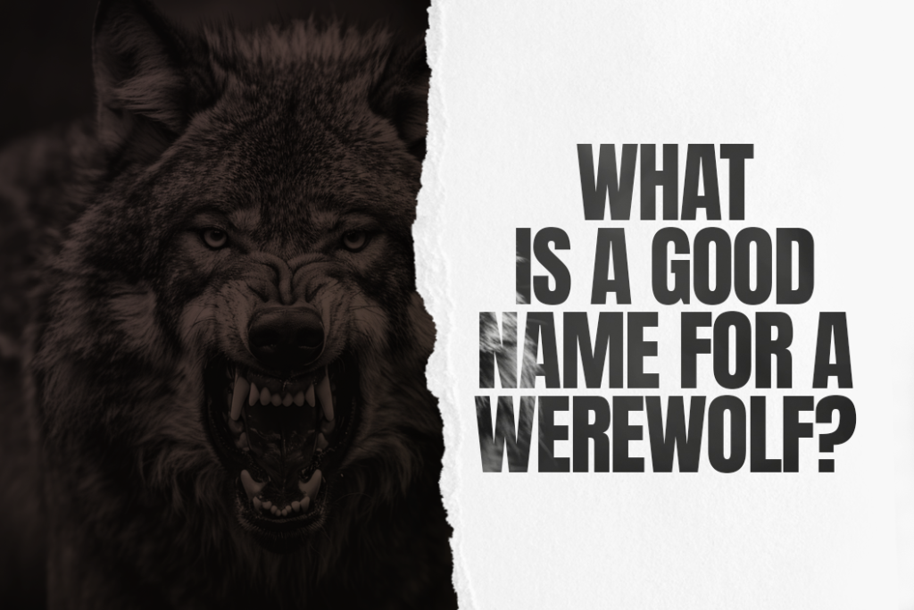 What is a Good Name for a Werewolf? - Adazing