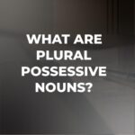 What Is a Plural Possessive Noun? Learn the Rules with Simple Examples ...