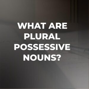 What Is a Plural Possessive Noun? Learn the Rules with Simple Examples ...